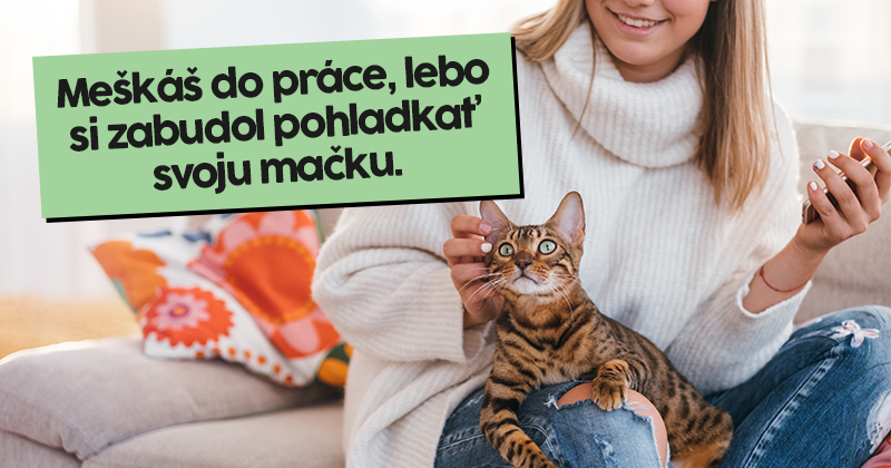 Znaky, že ste s tvojím domácim miláčikom skvelí parťáci - Emefka.sk