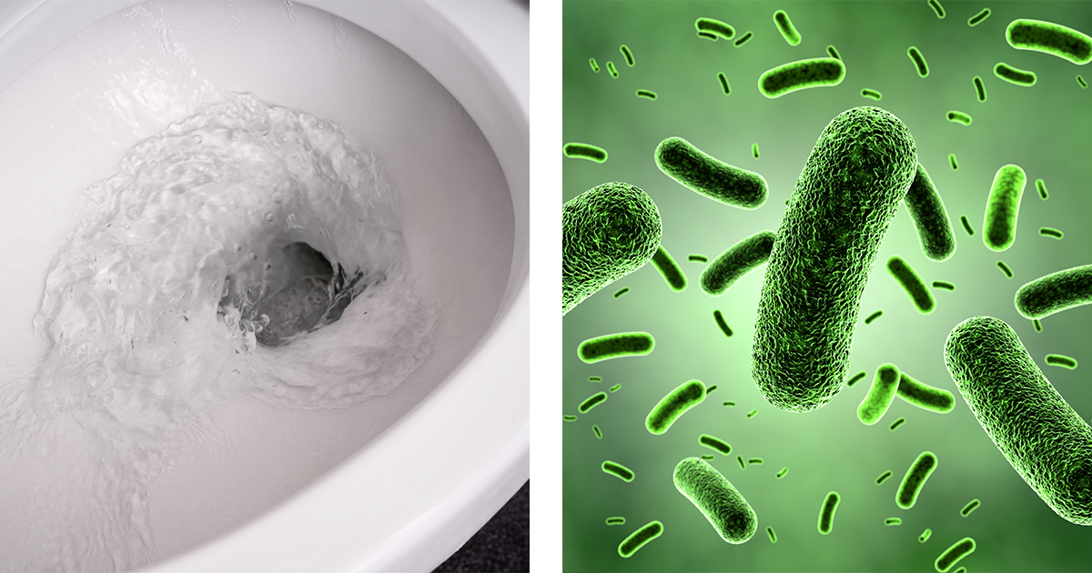 Video odhaľuje, do akej vzdialenosti sa dostávajú baktérie po spláchnutí záchoda - Emefka.sk