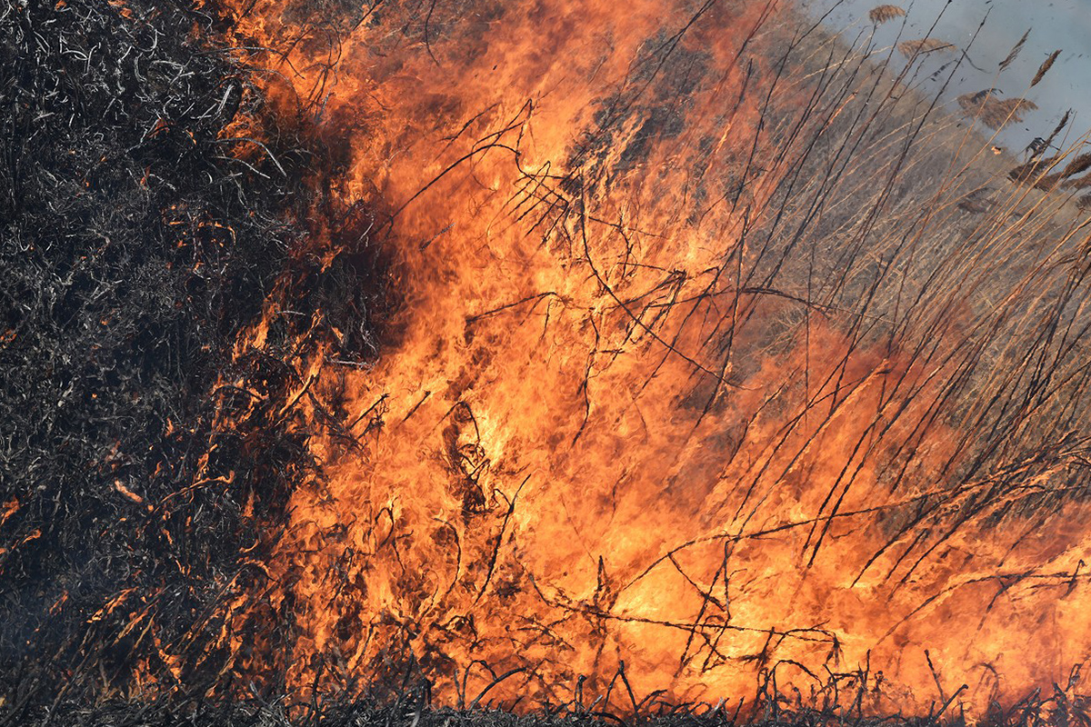 Enviropolícia obvinila muža, ktorý vypaľoval trávu v Hornom Tisovníku ...