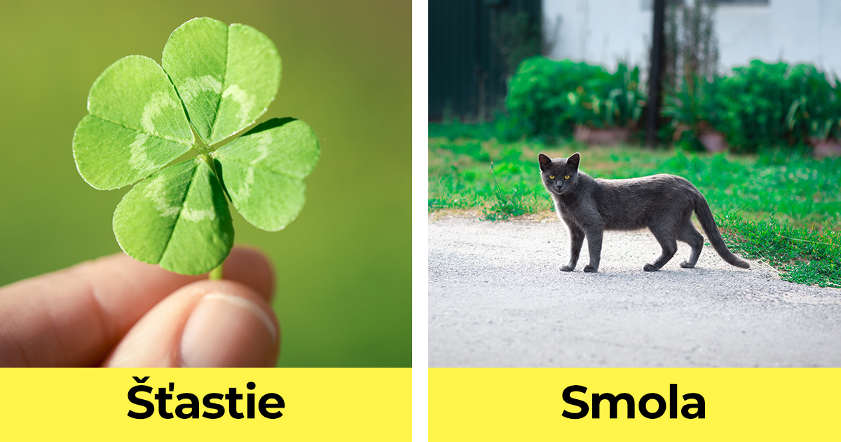 Nosia štvorlístky šťastie? Nezmyselné povery, ktorým tajne veríš možno ...