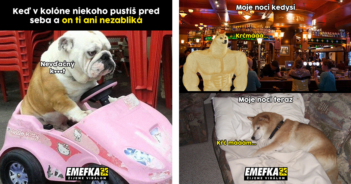 TOP 10 memes, ktoré vás bavili minulý týždeň najviac #78 - Emefka.sk