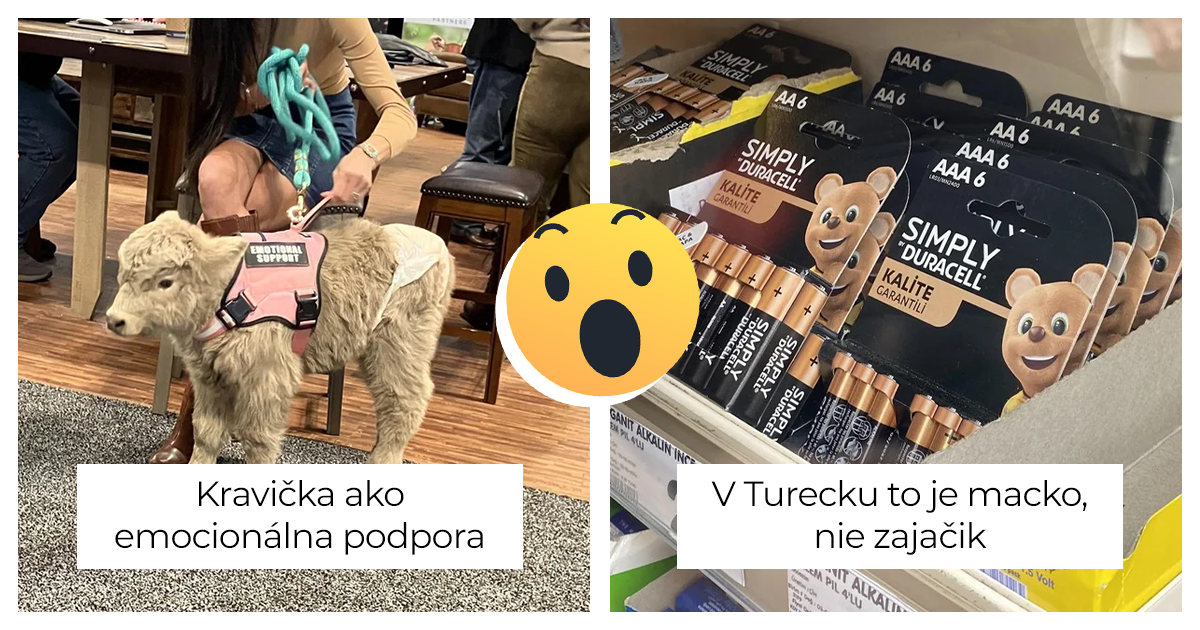 Zaujímavé veci, ktoré si ľudia museli okamžite odfotiť - Emefka.sk