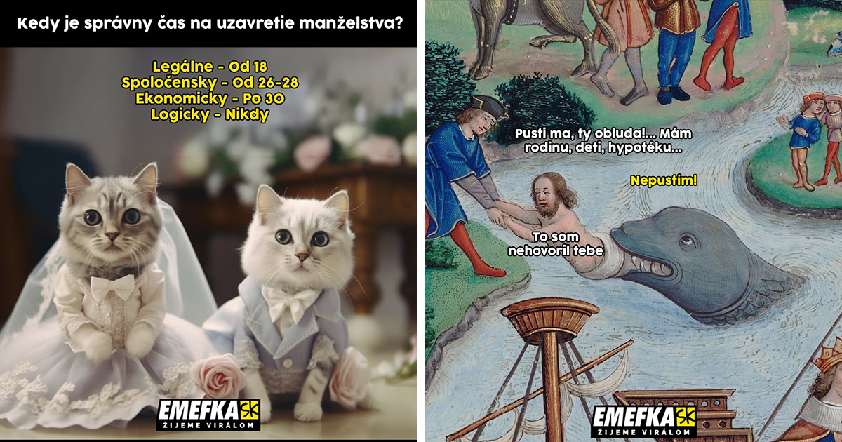 TOP 10 memes, ktoré vás bavili minulý týždeň najviac #149 - Emefka.sk