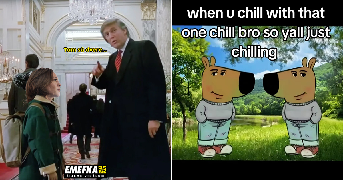 BACK TO THE MEMES: Memečká, ktorými sme žili v novembri - Emefka.sk