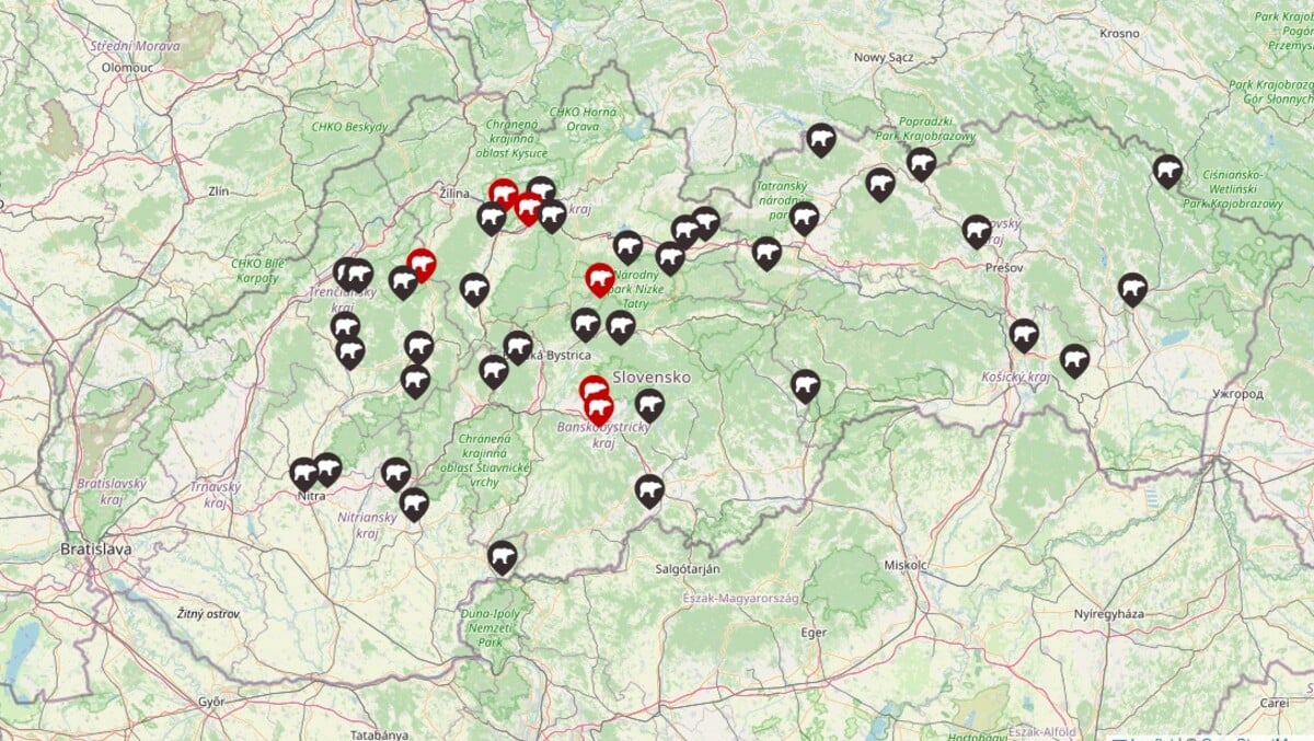 Interaktívna mapa ti ukáže, kde na Slovensku úradovali medvede