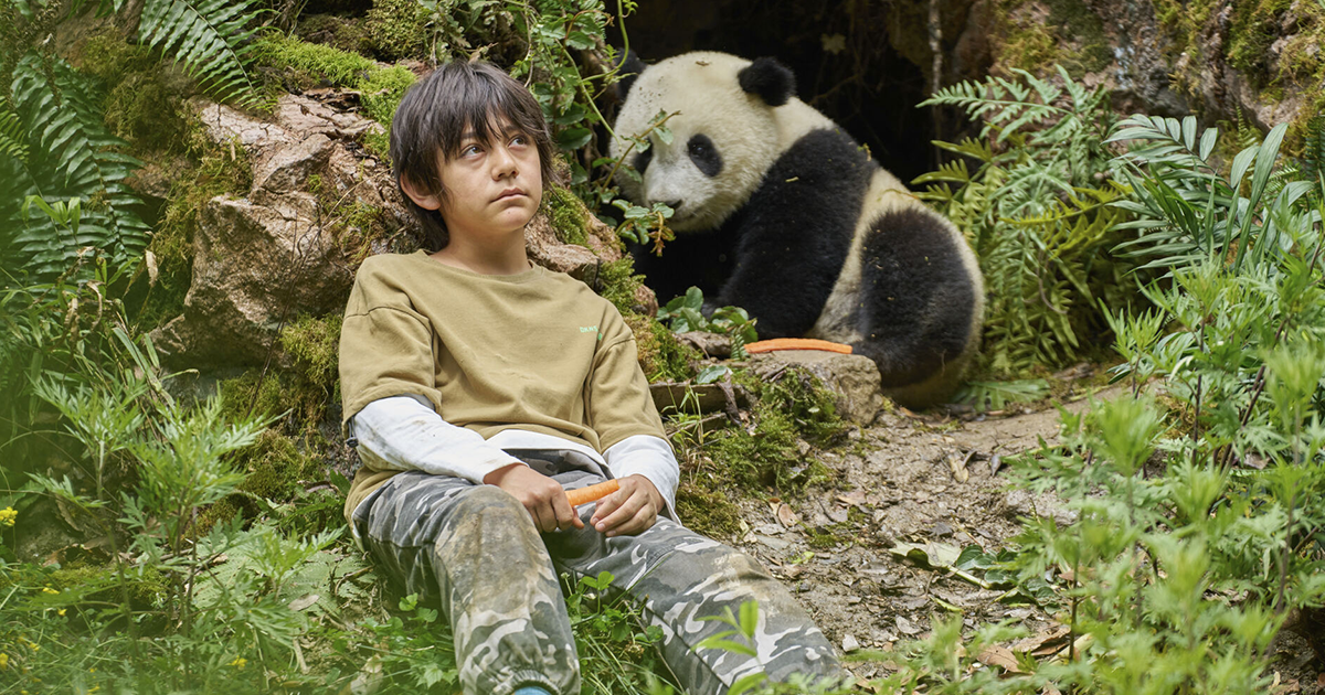 Citlivý film o priateľstve medzi chlapcom a pandou