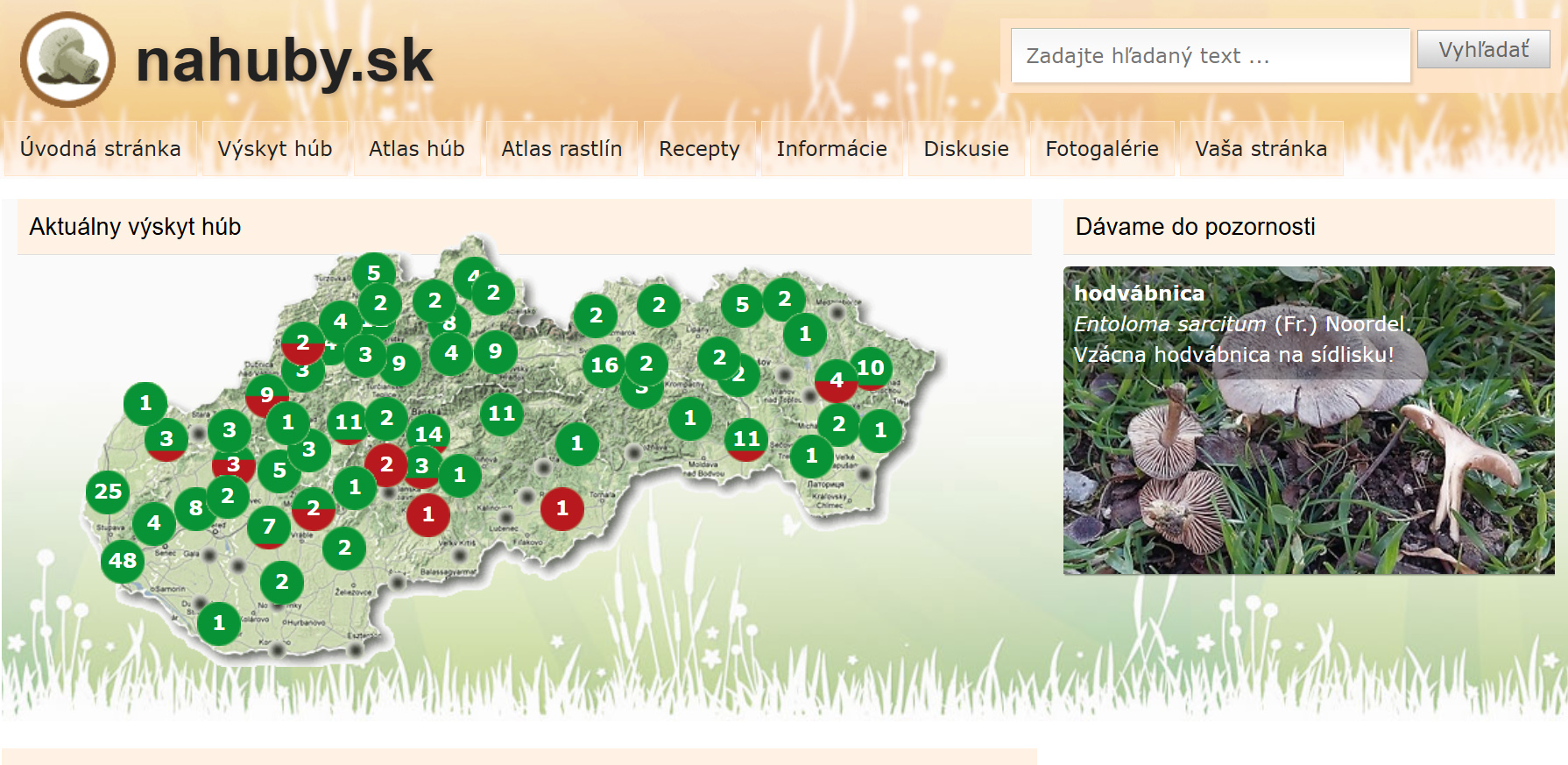 Na huby na Slovensku: Toto sú najlepšie lokality - Emefka.sk