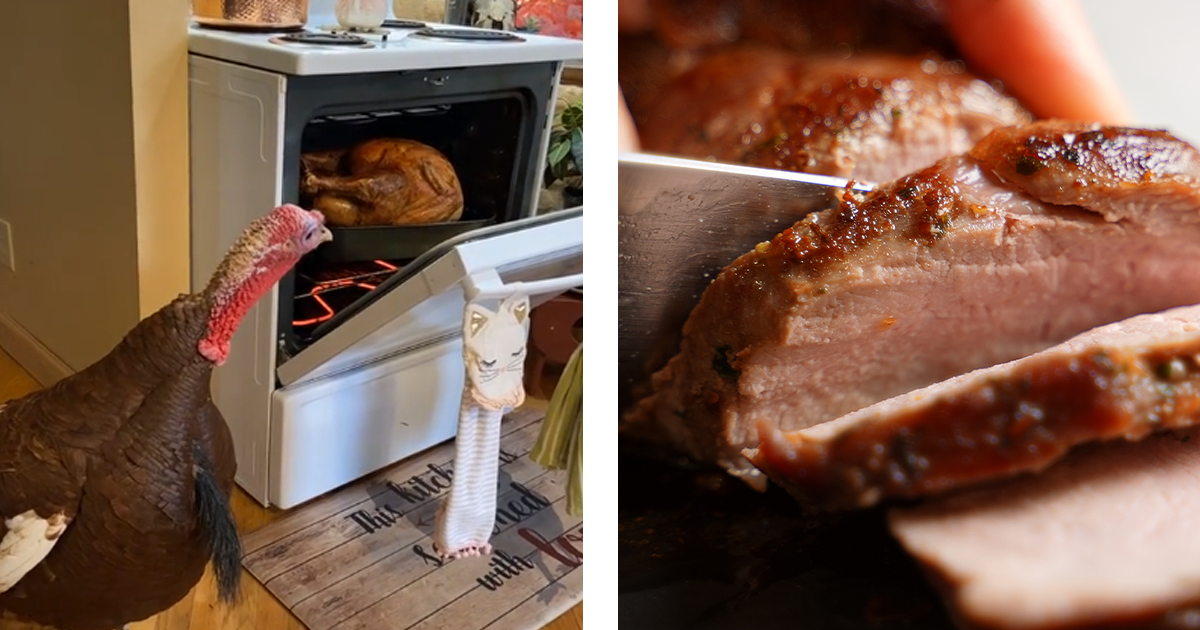 Video moriaka sledujúceho, ako sa druhý pečie v rúre, budí vášnivé reakcie