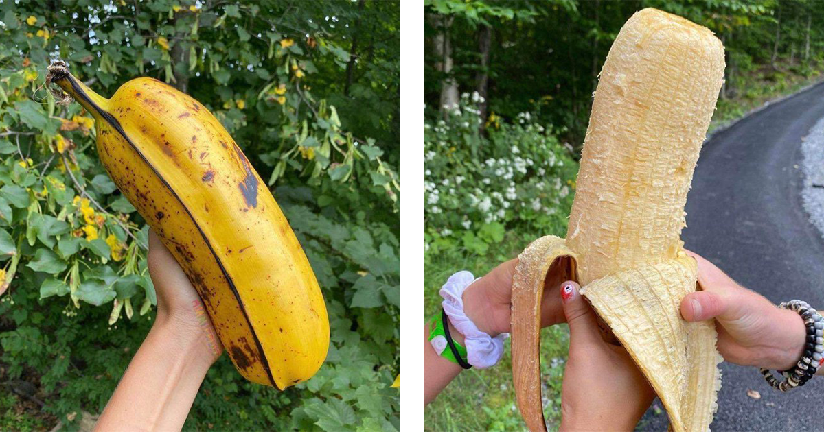 Headlinerom sociálnych sietí posledných dní je veľký banán - EMEFKA