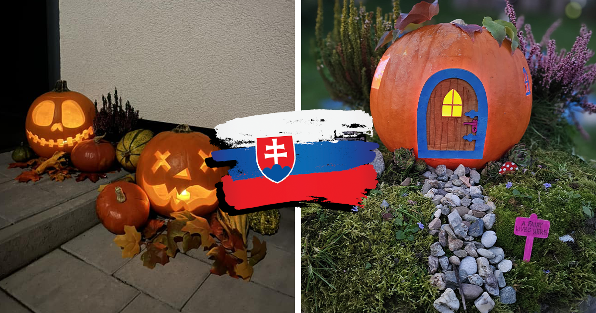 Slováci nám ukázali svoje tekvice, ktoré im včera spríjemňovali ...