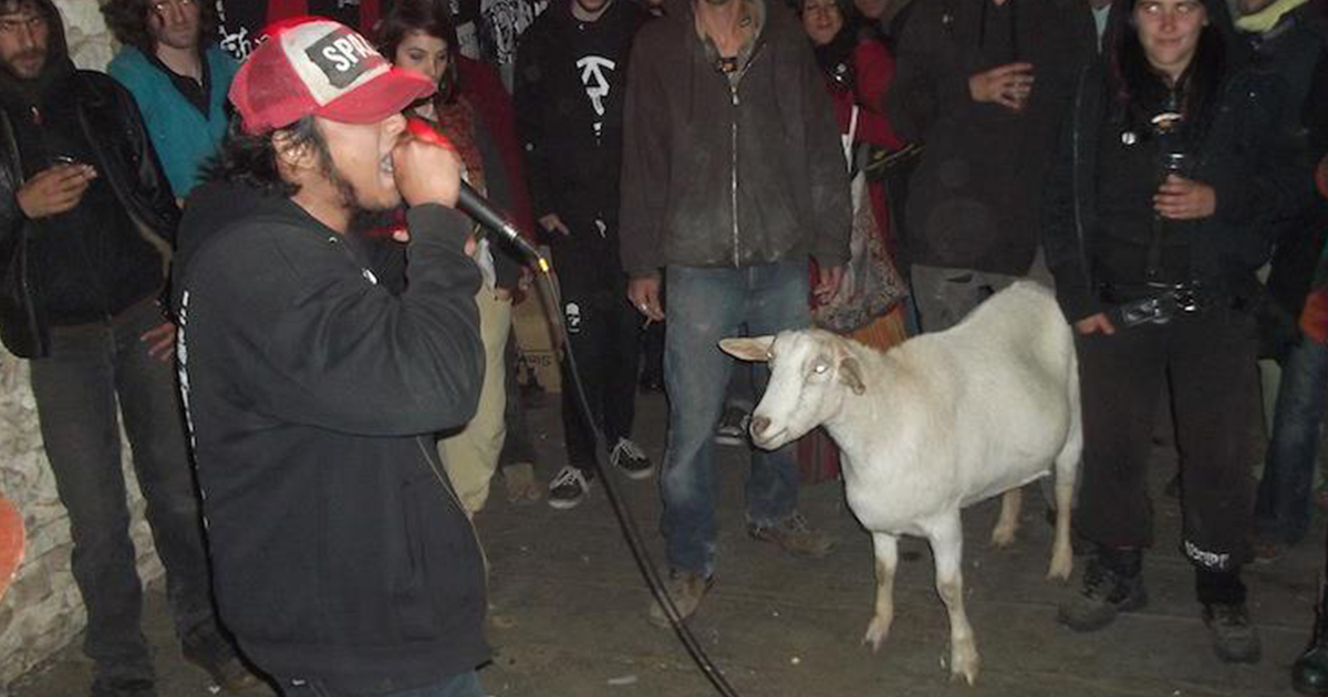 Koza na koncerte - poznáš príbeh tejto známej fotografie? - EMEFKA